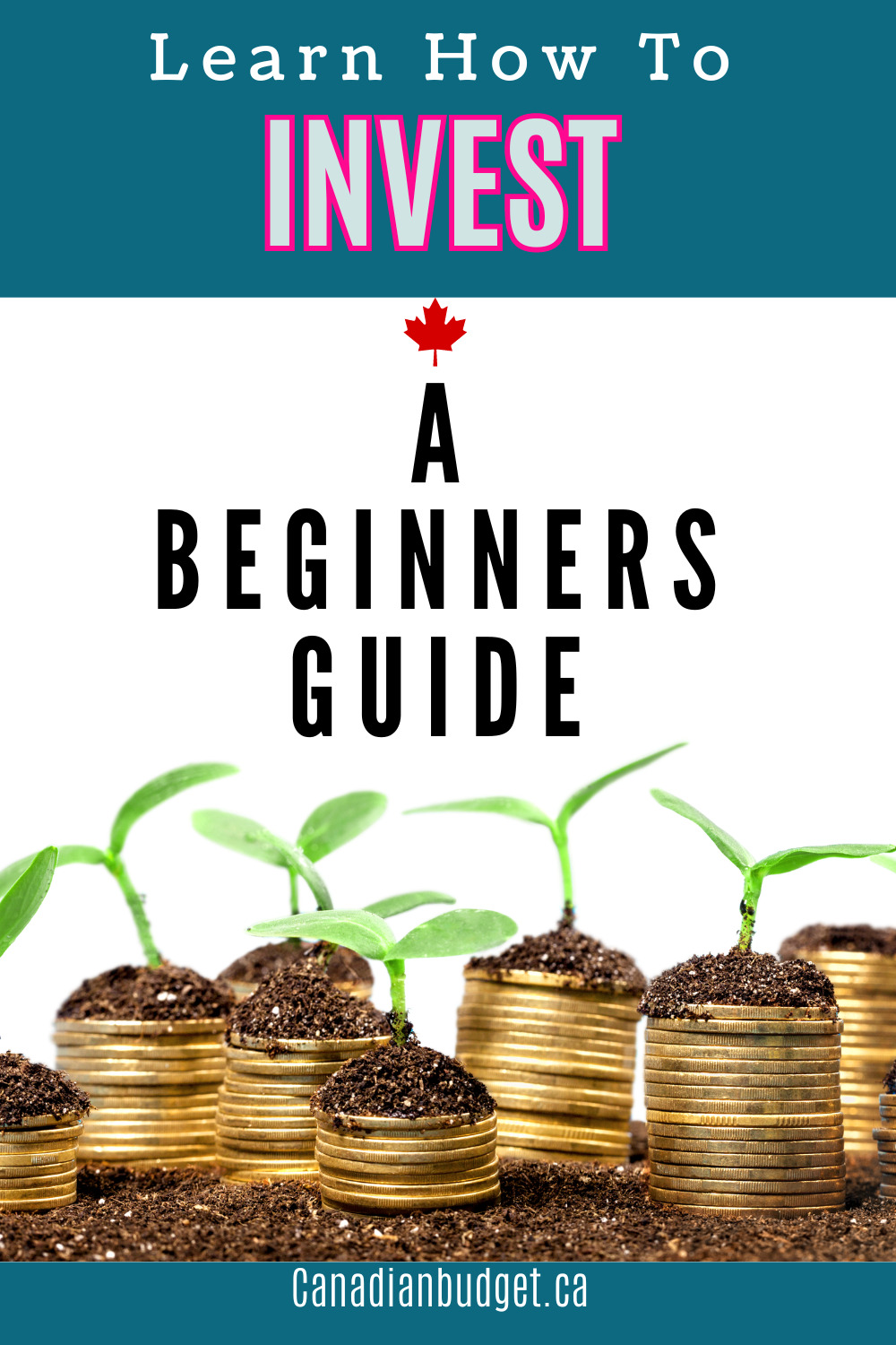How To Invest In Canada – Investing Basics